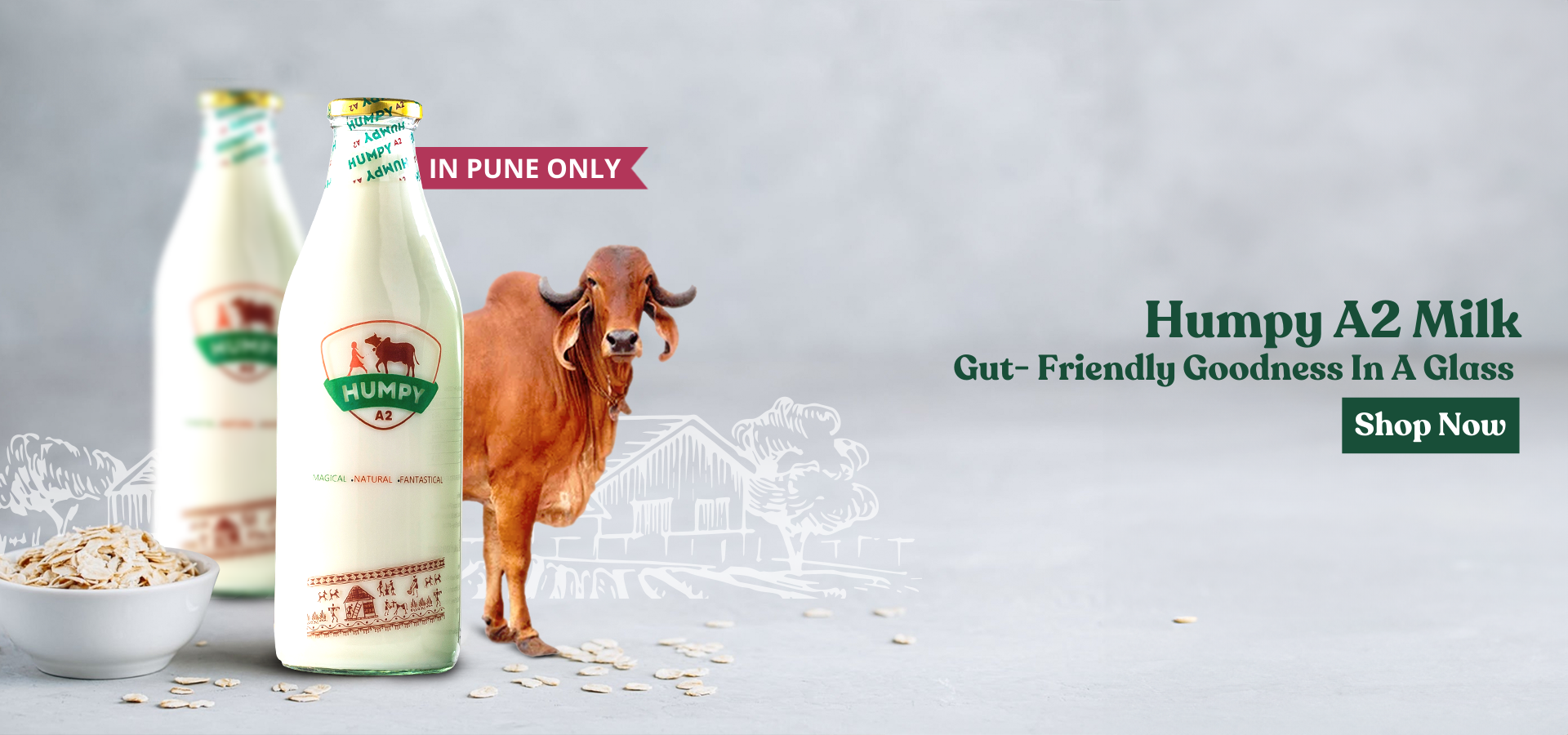 India's leading Organic Daily Essentials & A2 Milk Brand – Humpy Farms