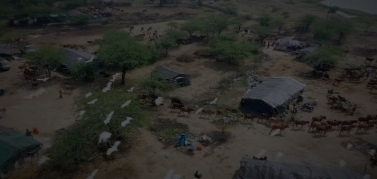 India's leading Organic Daily Essentials & A2 Milk Brand – Humpy Farms